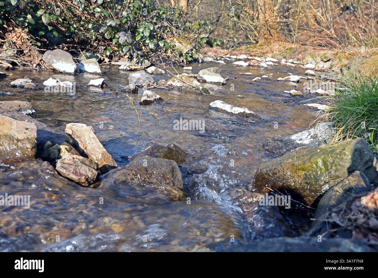 Der Asbach in Essen Kulturlandschaft am Stadtrand von Essen mit dem ...