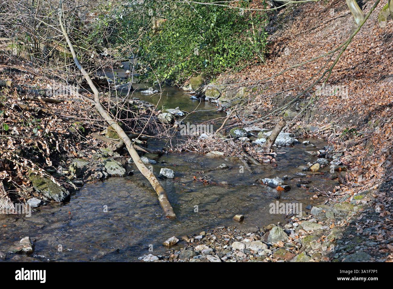 Der Asbach in Essen Kulturlandschaft am Stadtrand von Essen mit dem ...