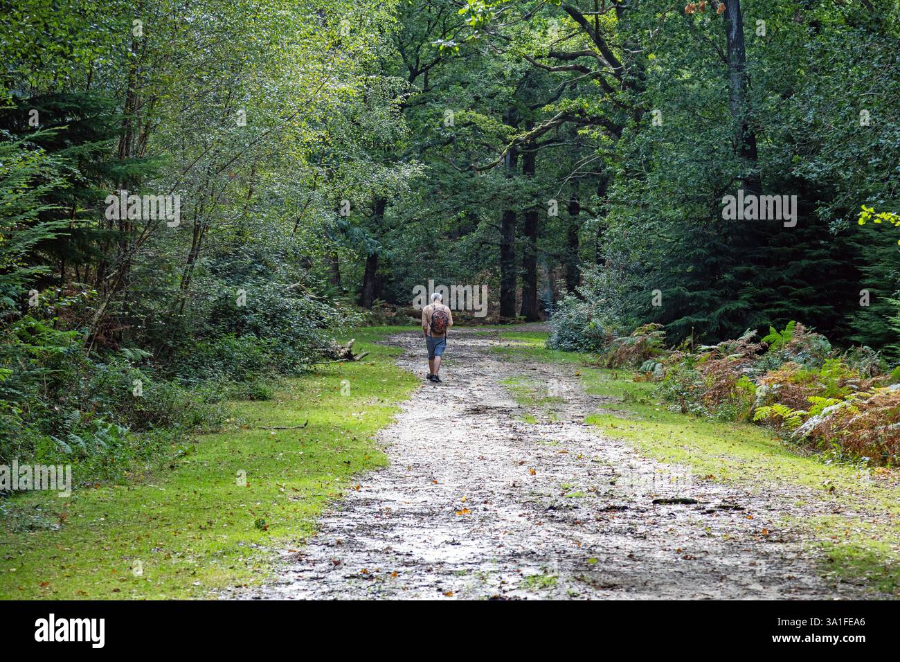 Single figure on path hi-res stock photography and images - Alamy