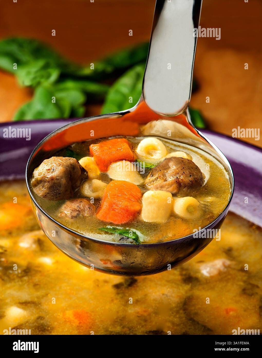 Beef Stew with Ladle Stock Photo - Alamy
