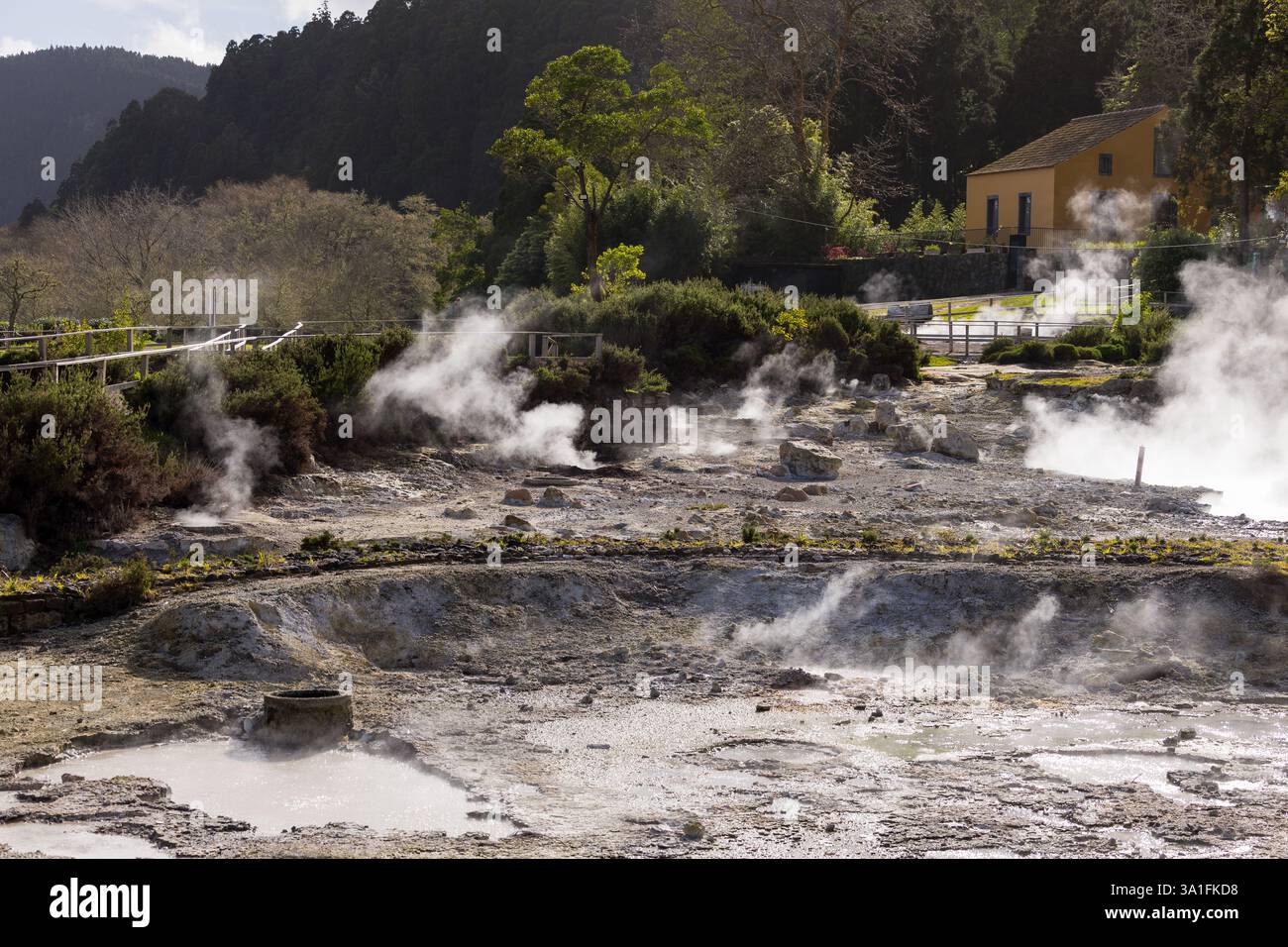 Geyser in Furnas Hot Springs, Sao Miguel Island, Azores, Portugal Stock ...