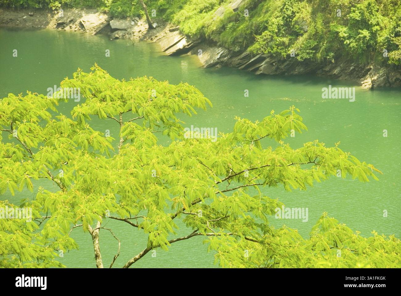 Rangit river, Sikkim, India, Asia Stock Photo - Alamy