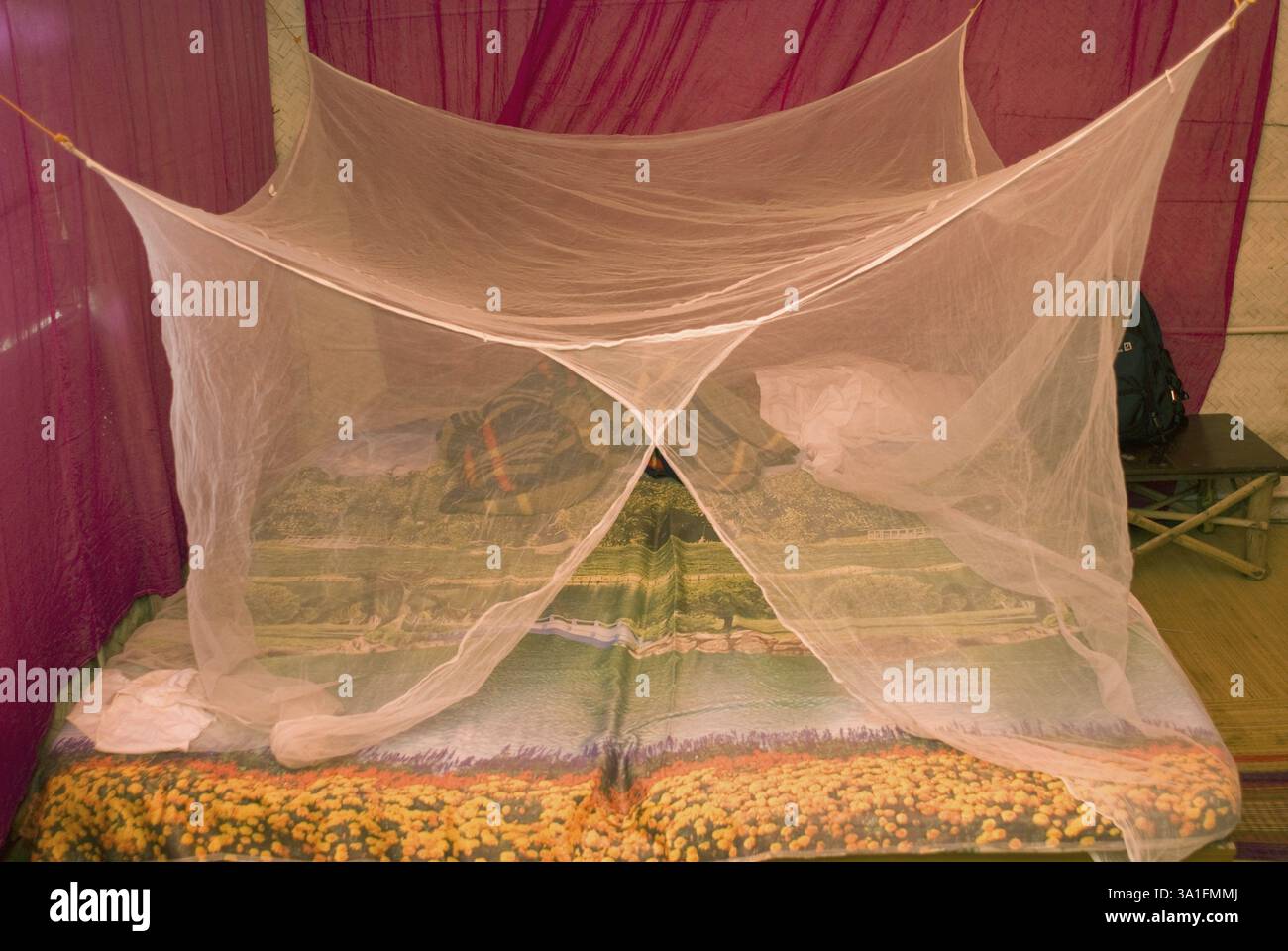 Interior of shack with pink curtains and white mosquito net covering ...