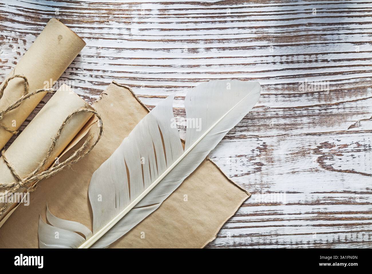 Medieval parchment corded paper rolls feather on vintage wood board ...