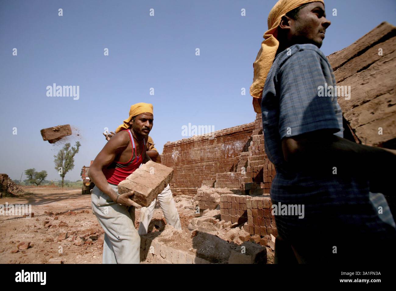 Worker arranging bricks at the brick factory in a village of Sangli ...