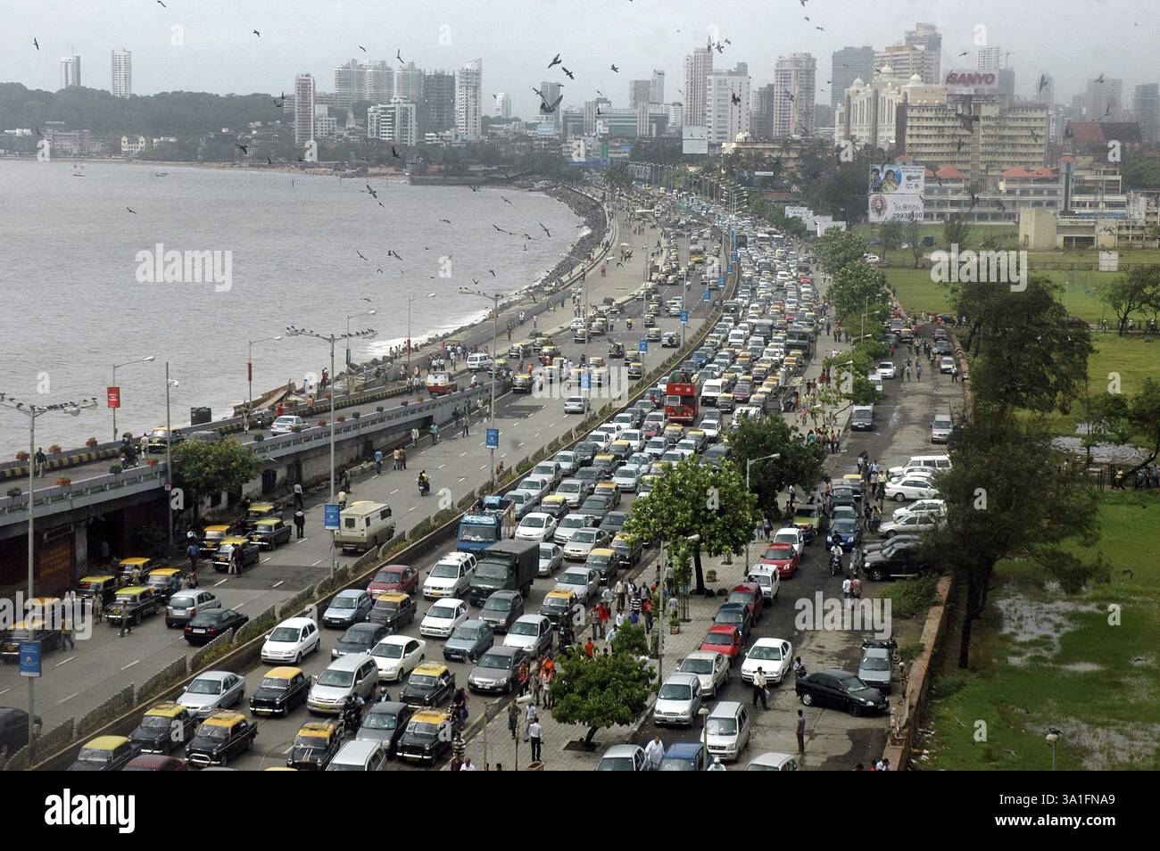 Traffic come to halt at Marine Drive during victory procession of ...