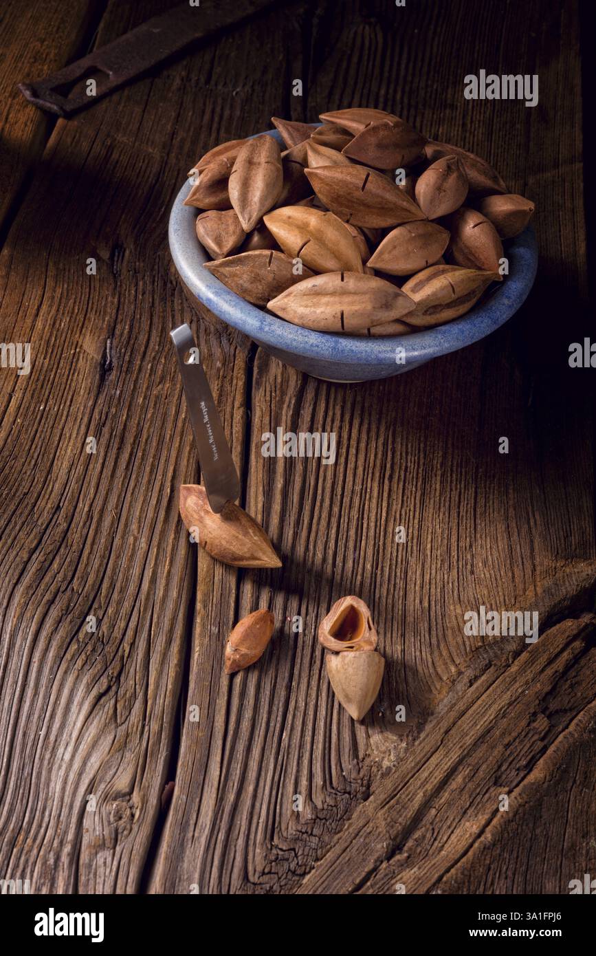 Canarium ovatum, commonly known as pili is a species of tropical tree ...