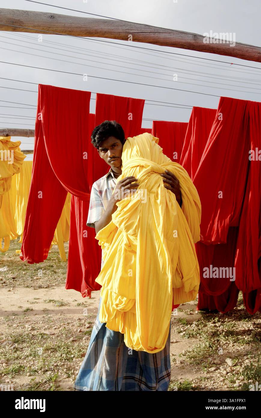 Fabric drying yard, garment industry, Tirupur, Tamil Nadu, India, Asia ...