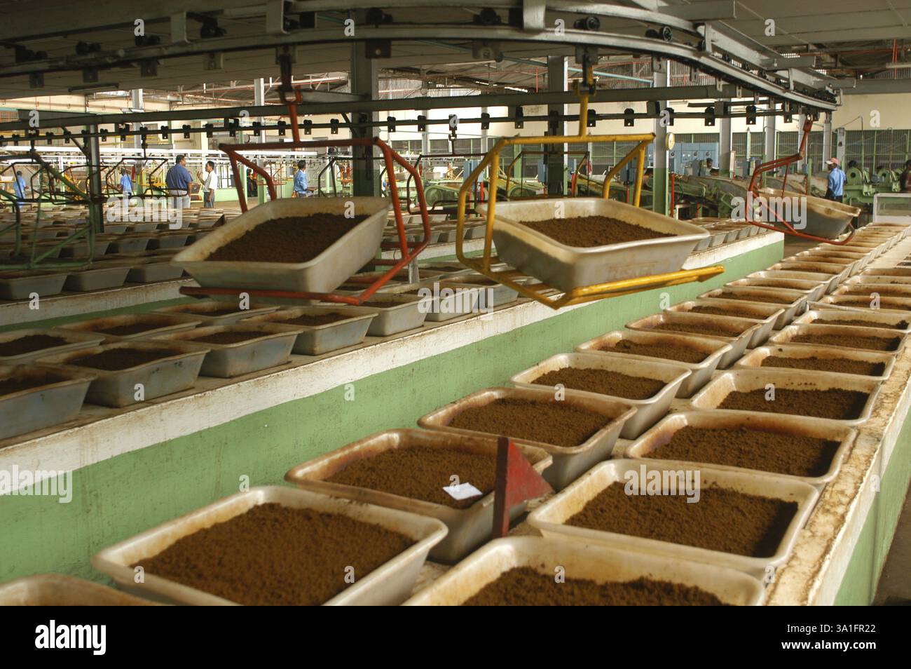Inside tea factory, India, Asia Stock Photo - Alamy