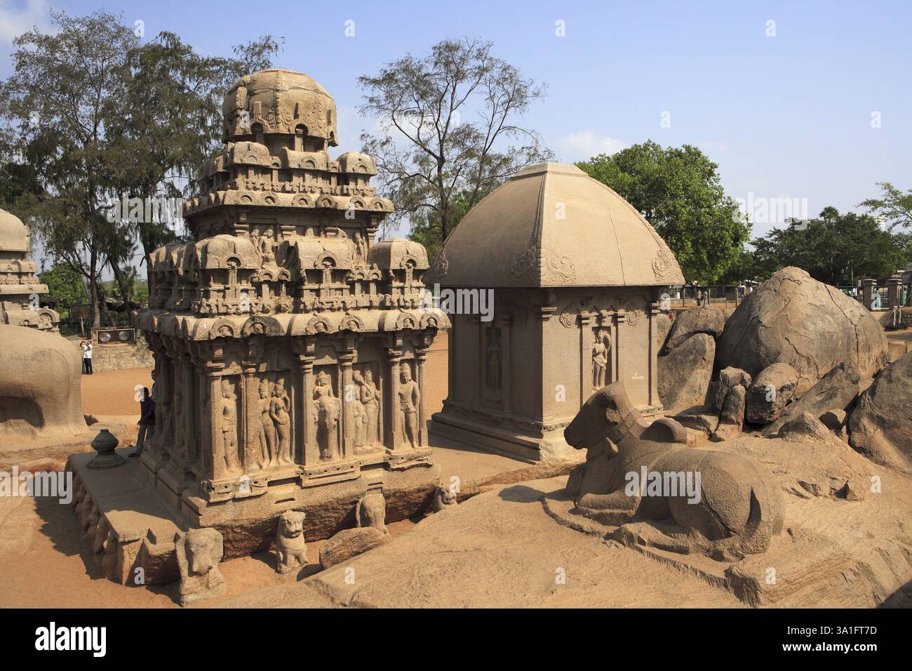 Pancha Rathas in foreground Nandi on right Draupadi Ratha and left ...