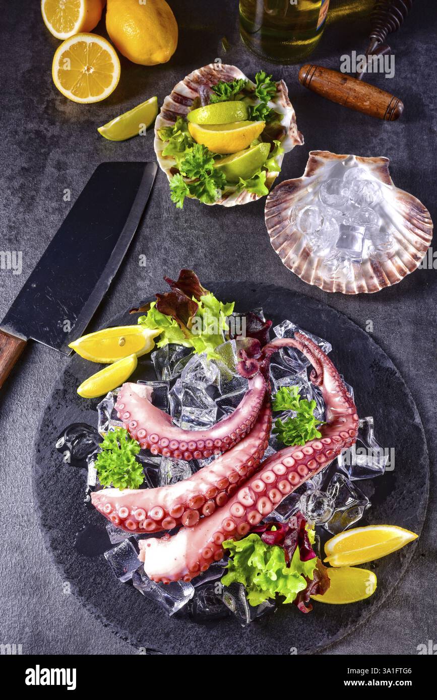 Raw octopus on the ice Stock Photo - Alamy