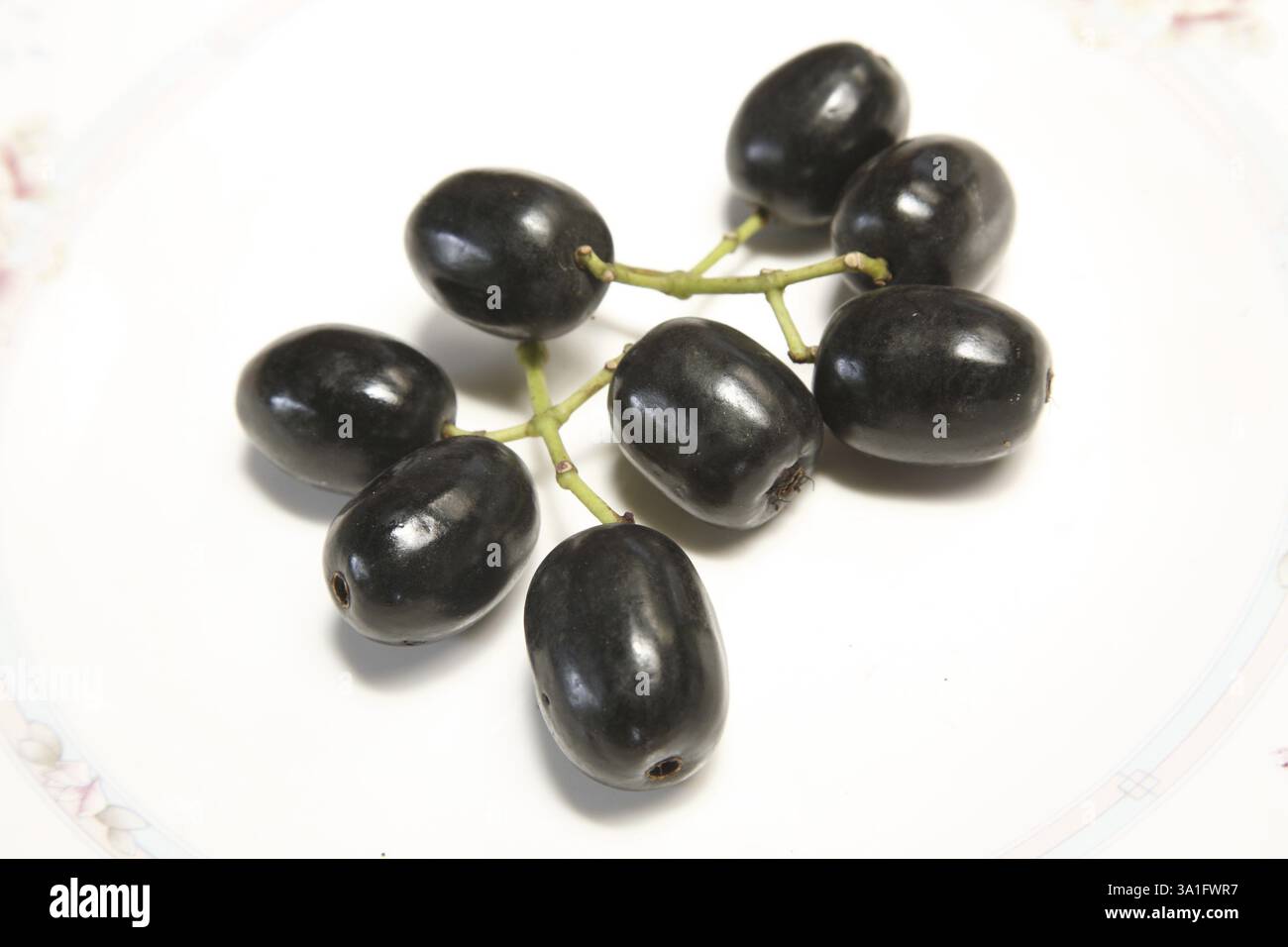 Indian name Jambul or Jamun or Jamblang, botanical name Syzygium cumini ...