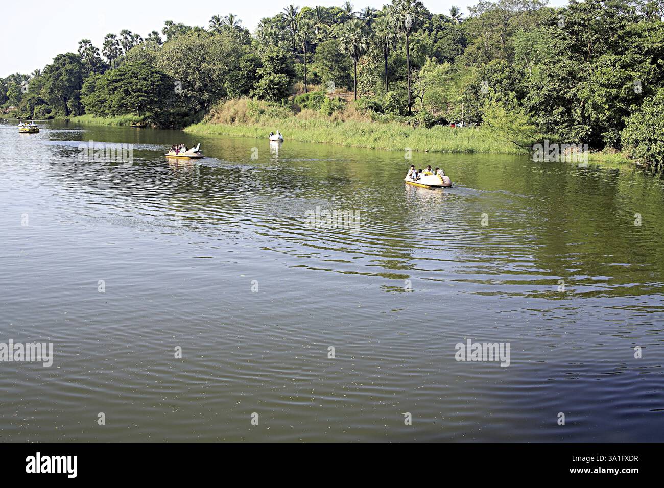 Boating in river view of Sanjay Gandhi National Park, Borivali, Bombay ...