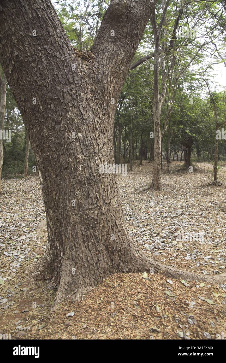 The mens nature reserve hi-res stock photography and images - Alamy