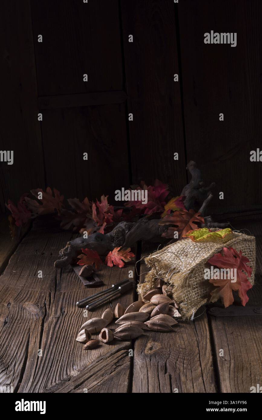 Canarium ovatum, commonly known as pili is a species of tropical tree ...