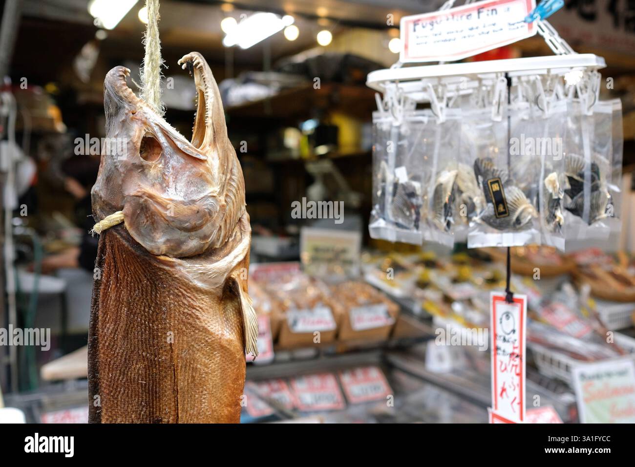Dried fish and furu (blowfish) fins for making hirezake, a hot sake ...