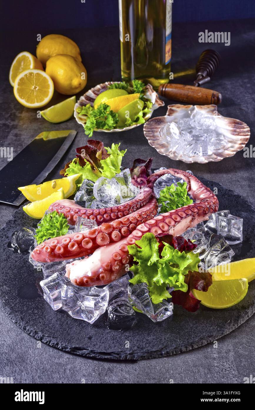 Octopus catching a fish hi-res stock photography and images - Alamy