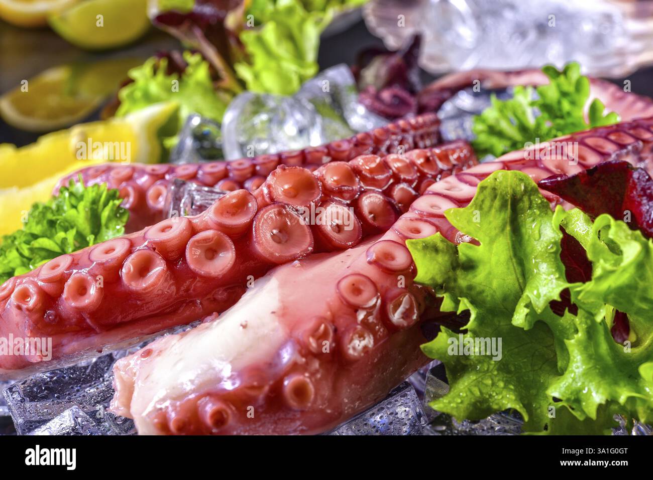 Raw octopus on the ice Stock Photo - Alamy