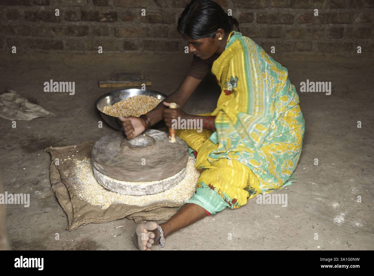 Woman grinding grains on hand grinder, Marathwada, Maharashtra, India ...