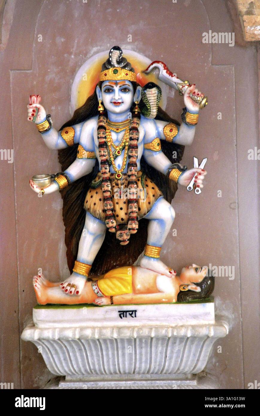 Statue of goddess Tara, India, Asia Stock Photo - Alamy