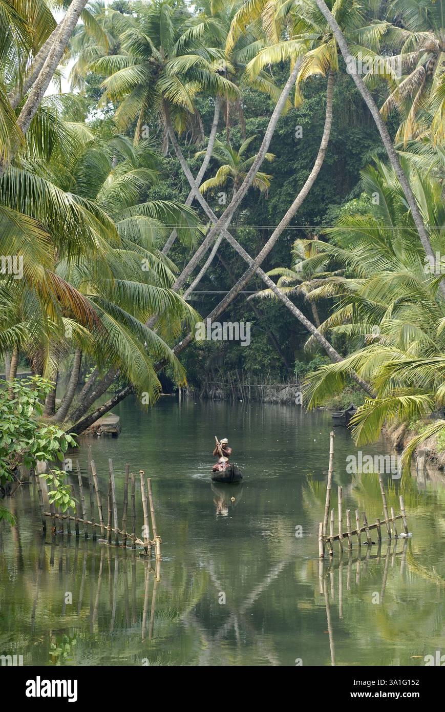 Boating in backwater, Kerala, India, Asia Stock Photo - Alamy