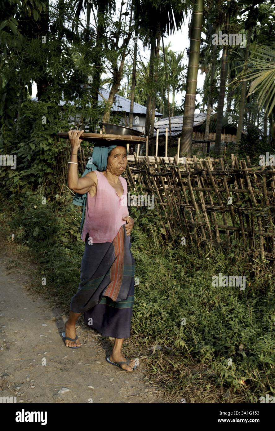 Chakama tribal women, Diyun, Arunachal Pradesh, India, Asia Stock Photo ...