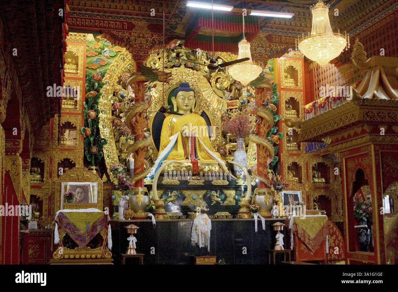 Statue of lord Buddha Tibetan style in Vajra Vidya temple, Sarnath ...