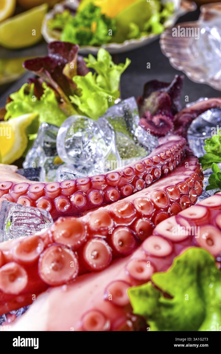 Octopus catching prey hi-res stock photography and images - Alamy
