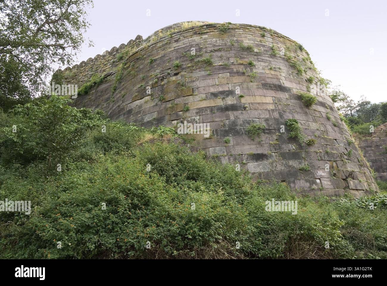 UNESCO World Heritage Champaner Pavagadh, ruins of Khapra Jhaveri Mahal ...