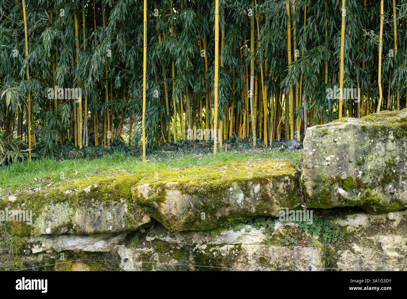 Reen landscape hi-res stock photography and images - Alamy