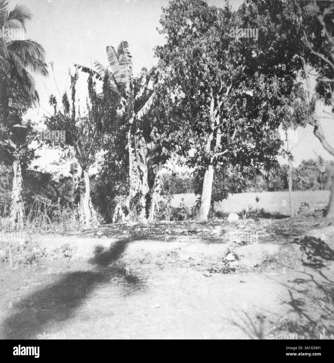 Destruction caused by riots between Hindus and Muslims in Noakhali East ...