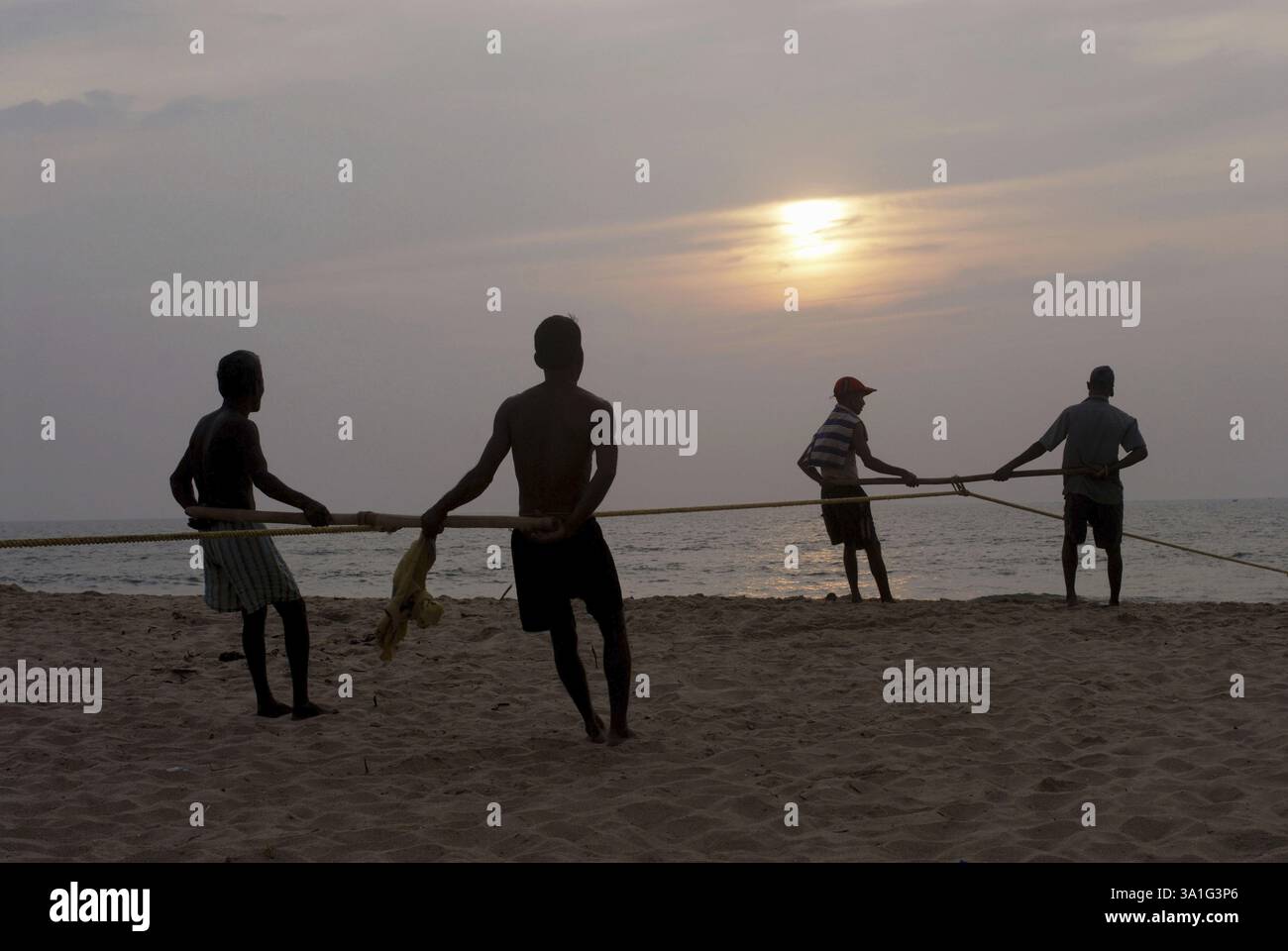 Fishing activity, Fishermen poking net to catch fish at sunset, Arabian ...