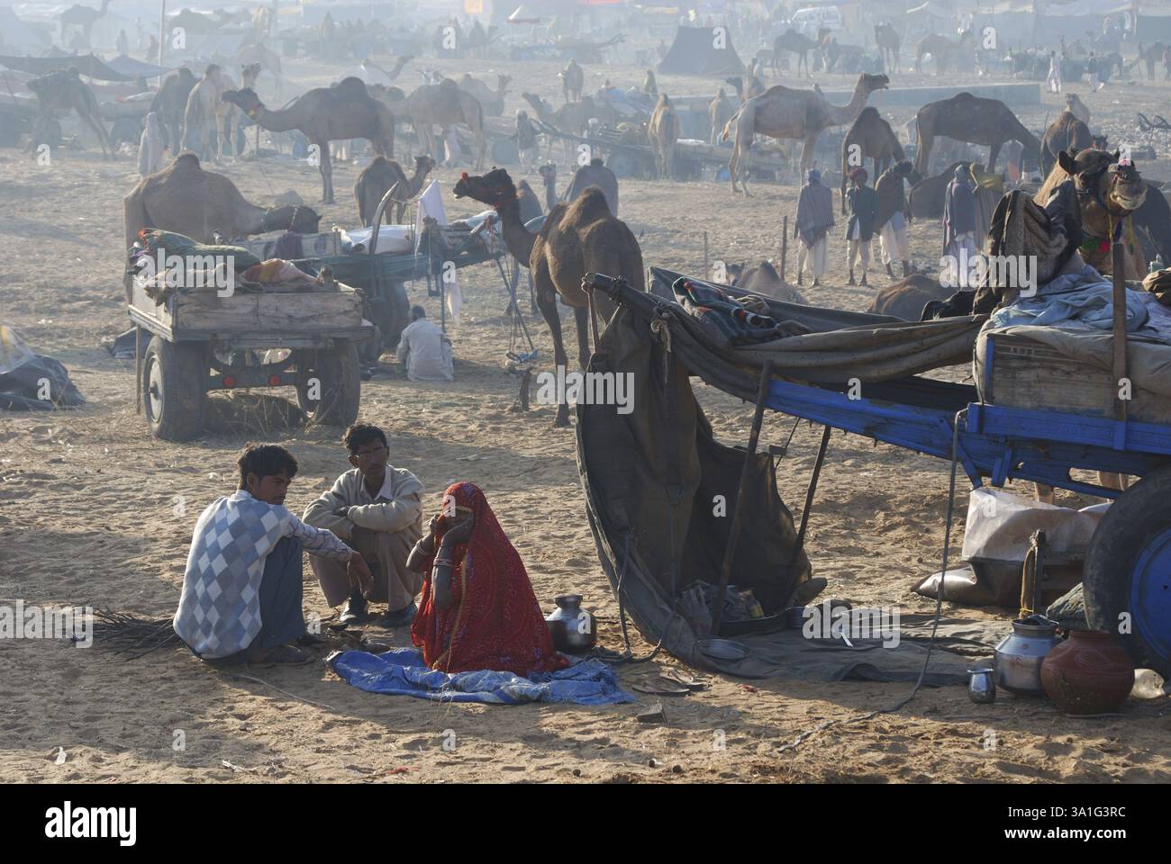 People heating fire in ground, Pushkar fair, Rajasthan, India, Asia ...