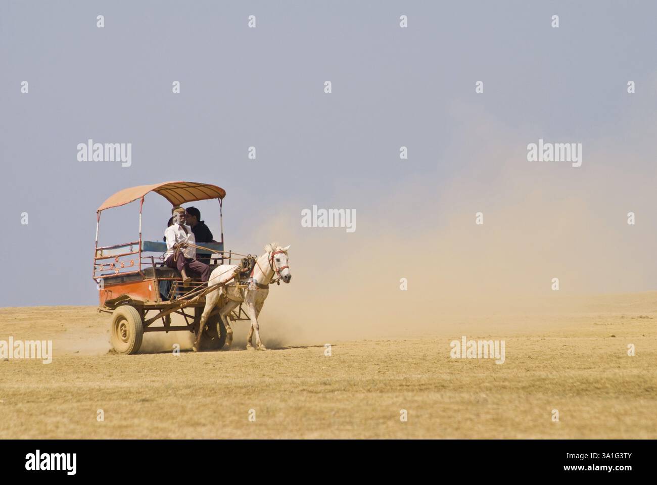 Horse cart ride on Table land, Panchgani, District Satara, Maharashtra ...