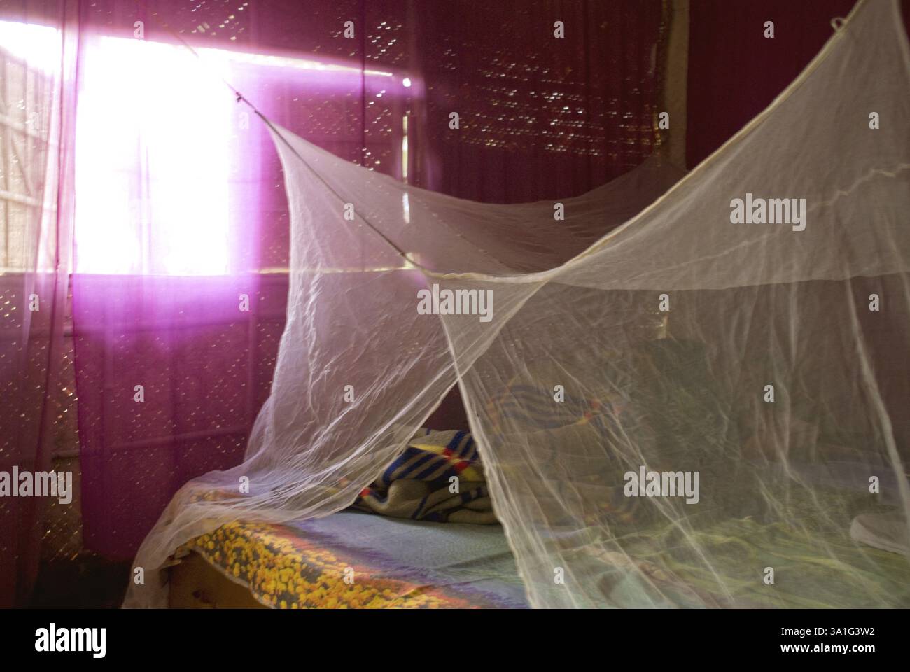 Interior of shack with pink curtains and white mosquito net covering ...