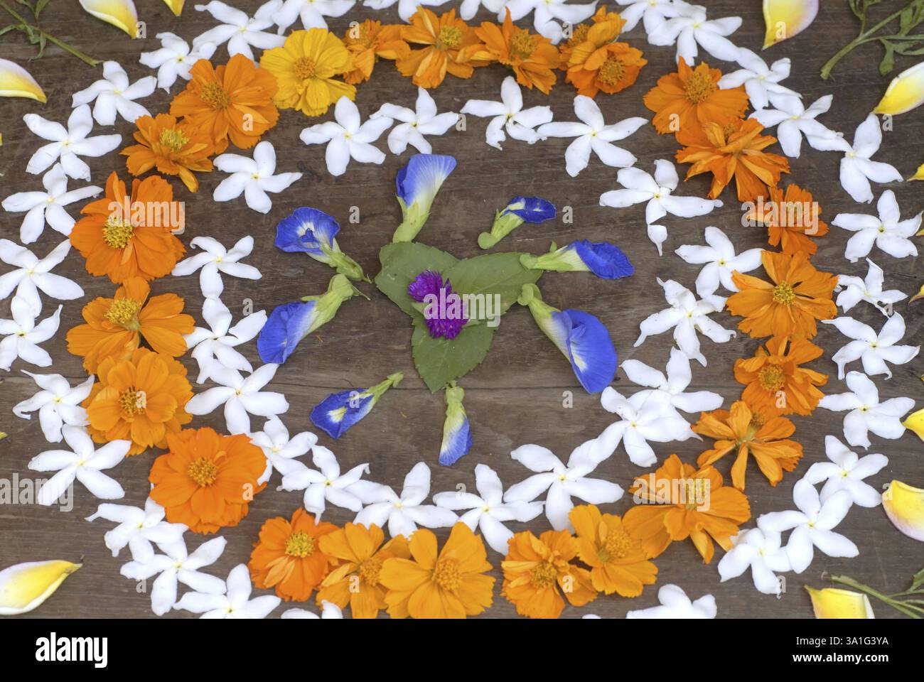Floor design known as rangoli drawn by colorful flowers at ...