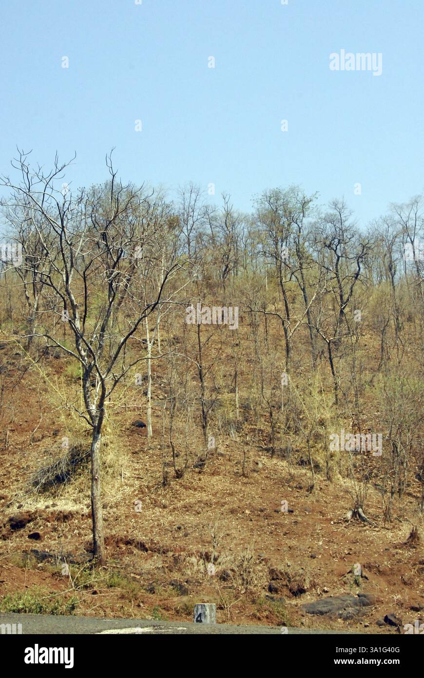 District dang hi-res stock photography and images - Alamy