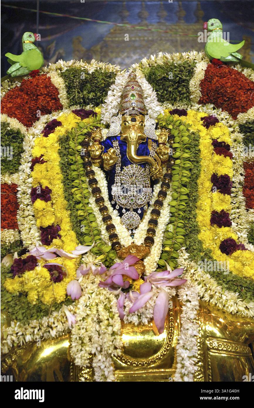 Decorated golden Ganesha mounted on gold mooshika mouse vahanam during ...
