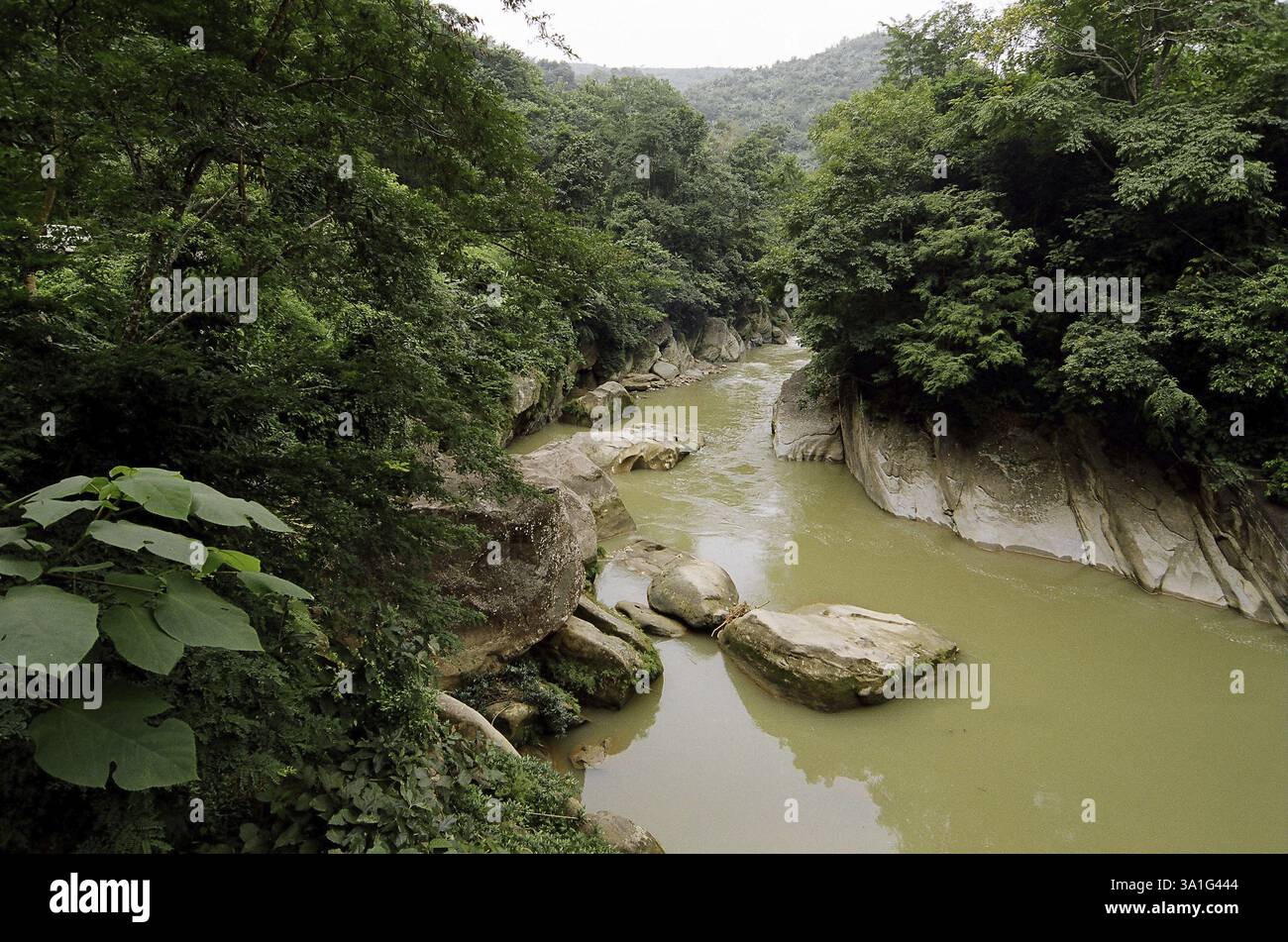 Greenery and river view, India, Asia Stock Photo - Alamy