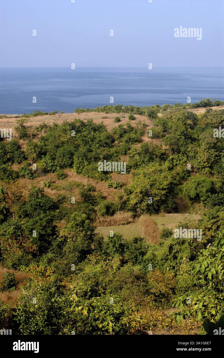 Beautiful beach with dense greenery near Shrivardhan, Konkan coast ...