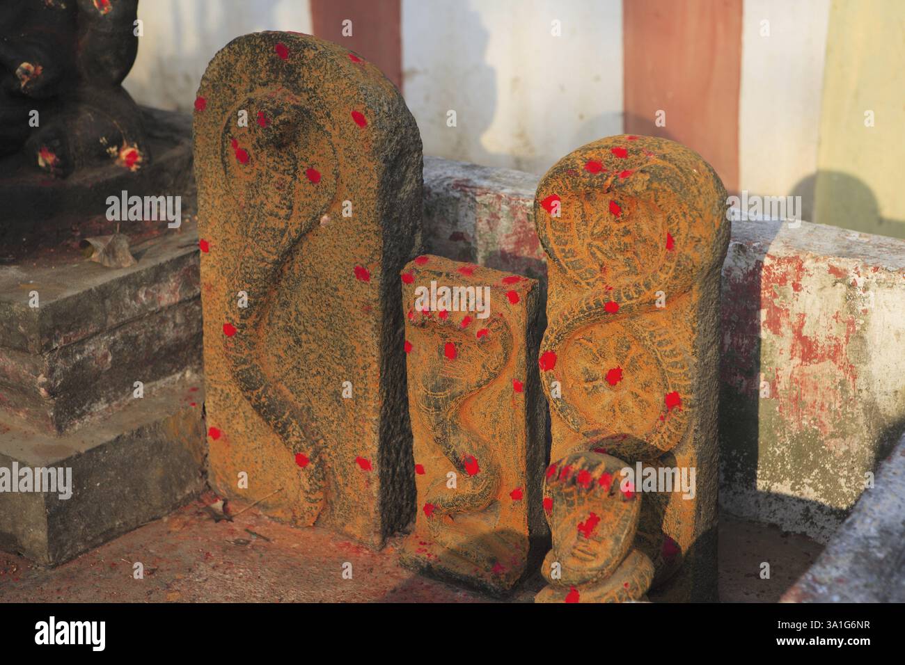 Snake gods in Shore Temple complex, Mahabalipuram, District ...