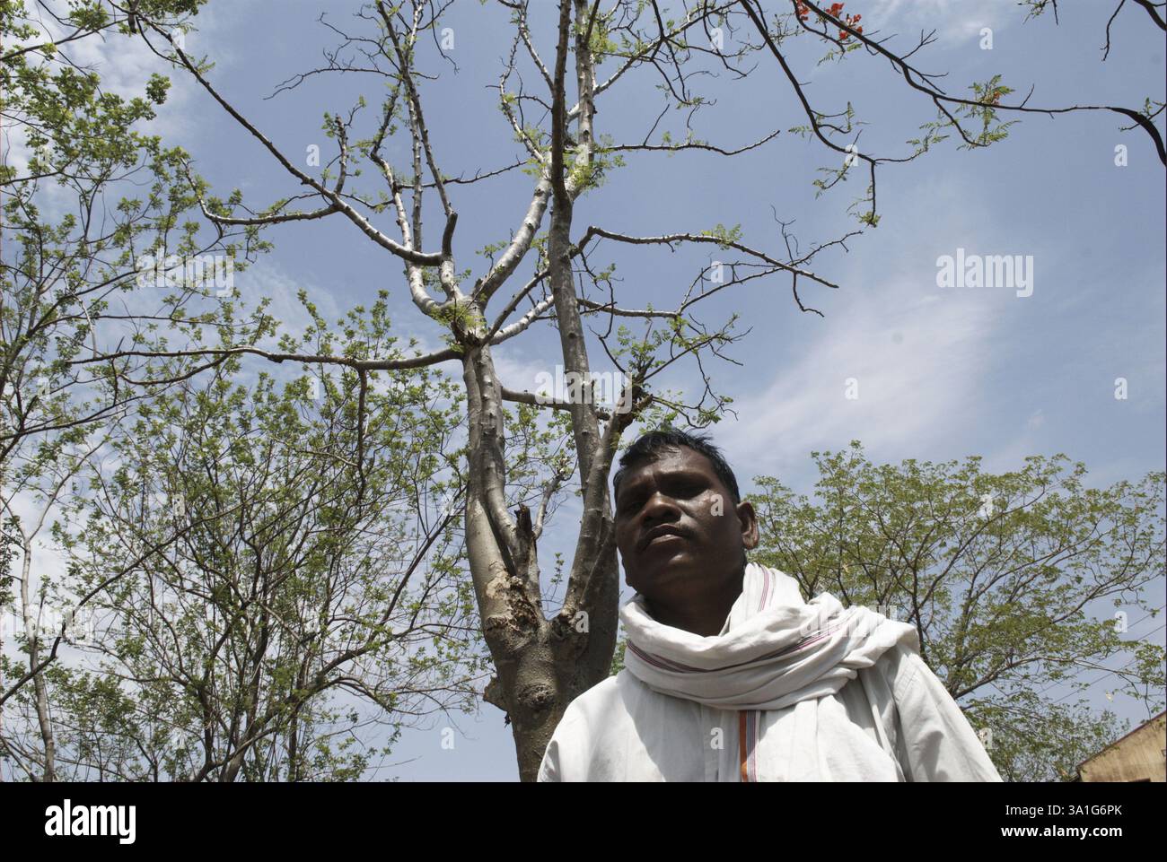 Man seating under tree, Beed, Maharashtra, India, Asia Stock Photo - Alamy