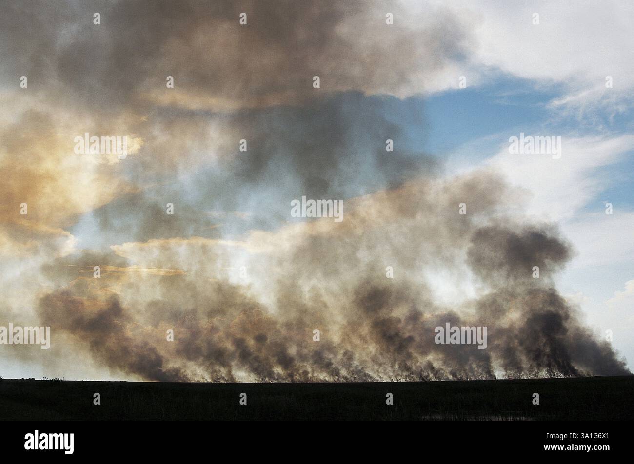 Forest Fire, Everglades NP, Florida, U.S.A. United States of America ...