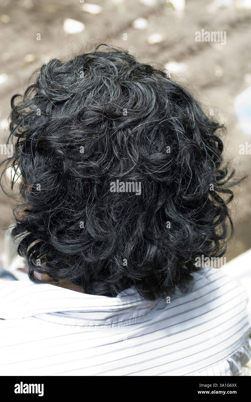 Salt and pepper black and white gray hair, Bombay Mumbai, Maharashtra ...