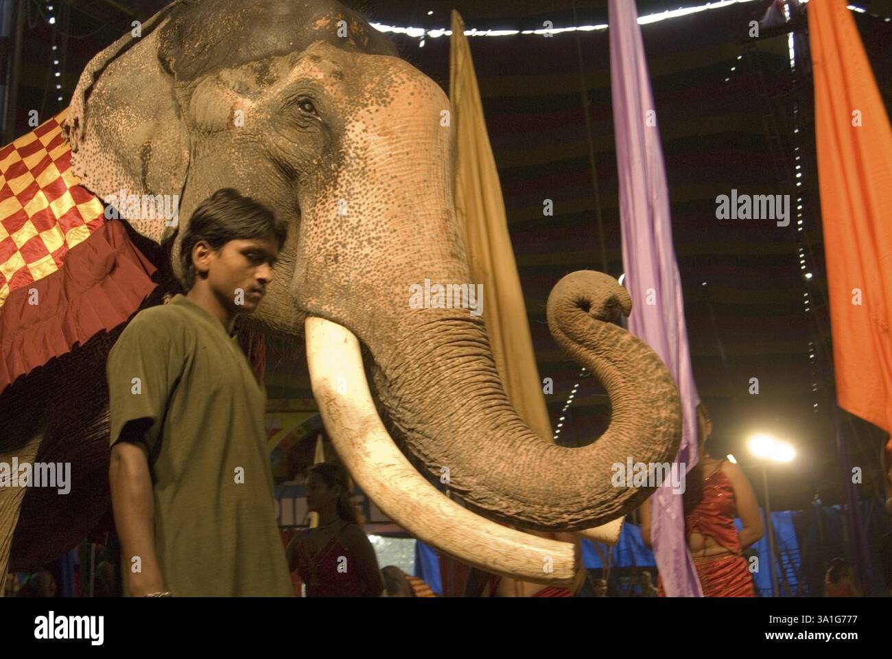 Artists performing show with elephant in Empire Circus, Bombay Mumbai ...