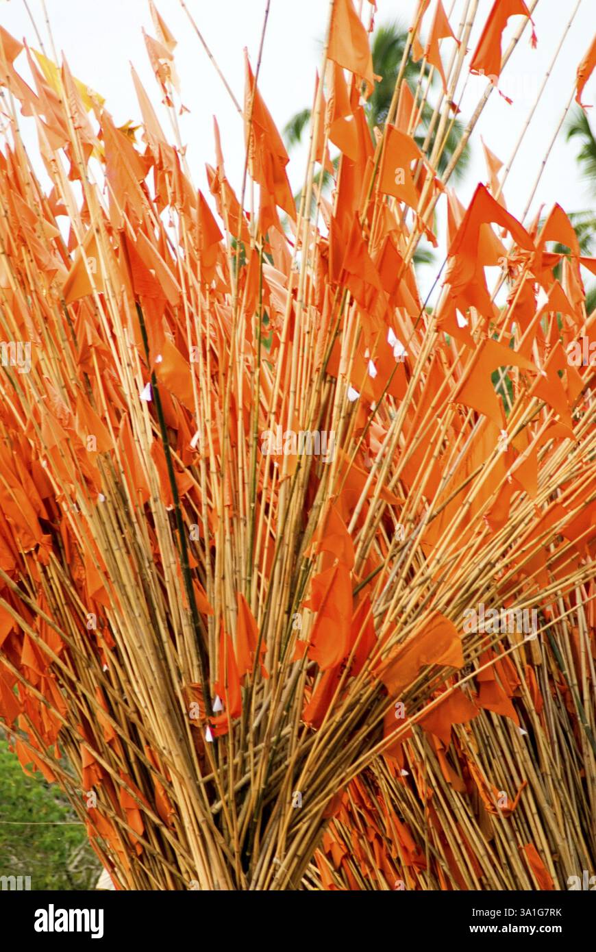 Saffron coloured flags Stock Photo - Alamy