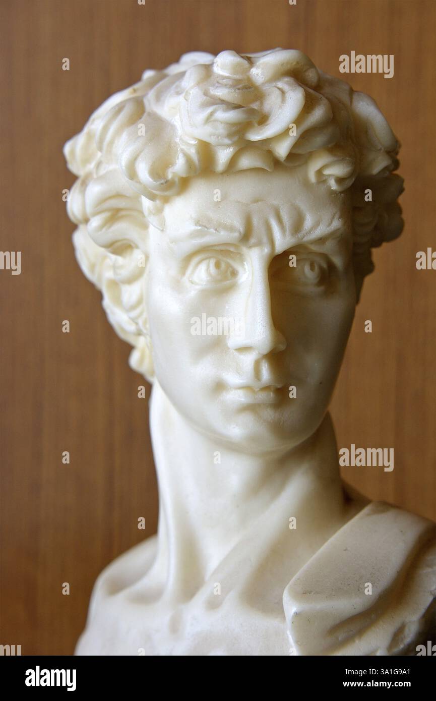 David replica of the statue by Michelangelo Stock Photo - Alamy