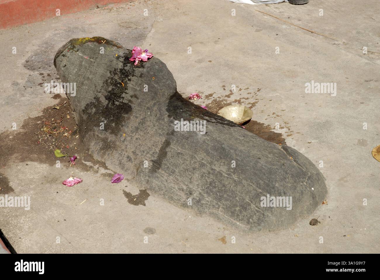 Statue of Nandi The Vahan of Lord Shiva at Kashi Vishvanath Temple ...