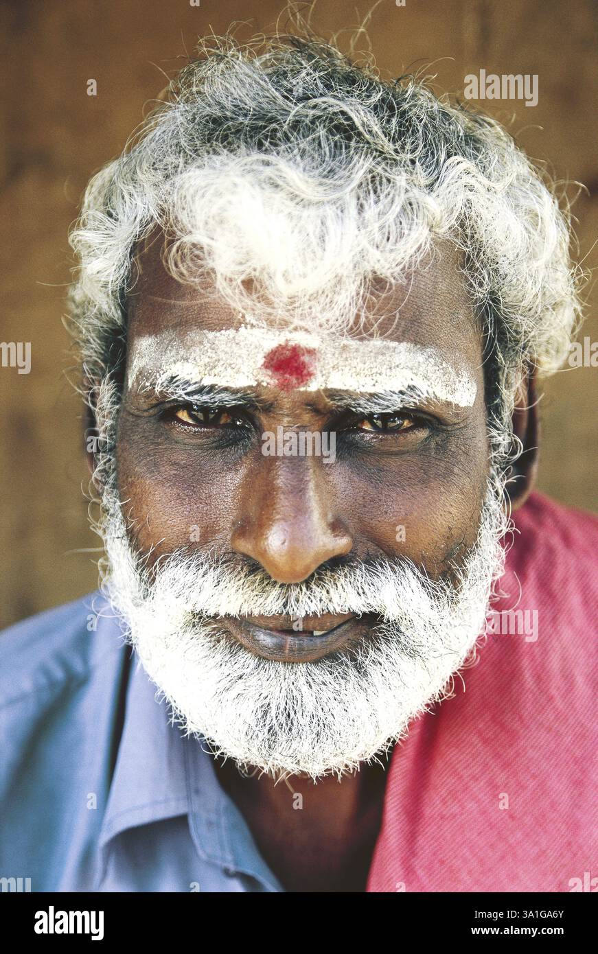 Portrait of old beard man white tilak on forehead, madurai, Tamil Nadu ...