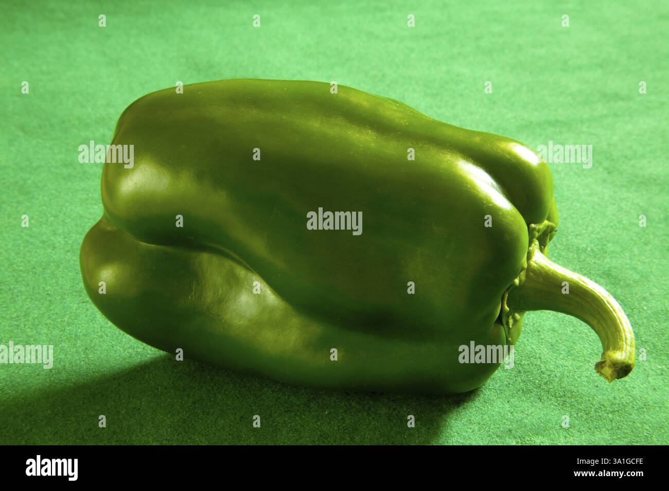 Vegetable, spice chilli green Capsicum Shimla Mirch Capsicum annuum ...